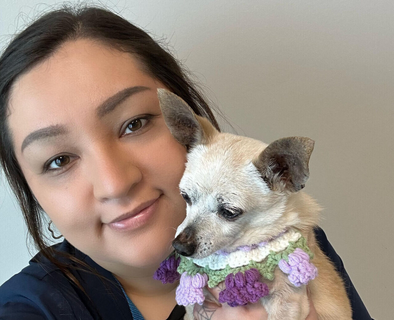 Veterinarian In North Richland Hills, TX | Urban Trails AH